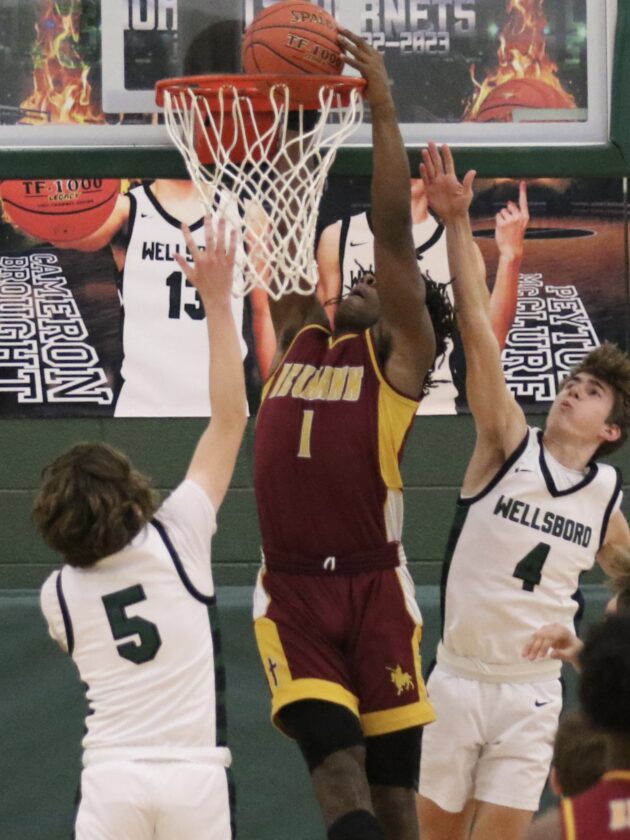 King Hill: Davion Hill breaks Lycoming County boys scoring record as ...